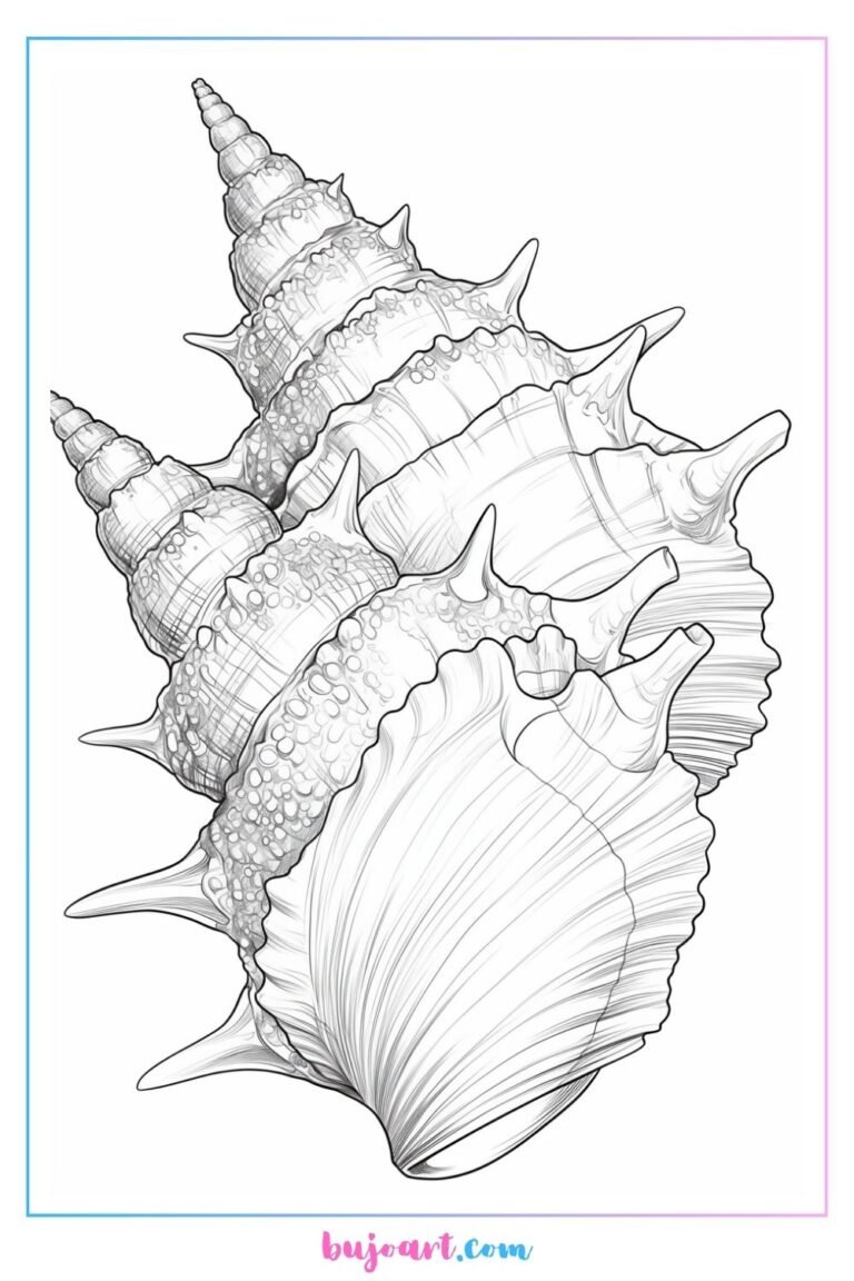 seashell coloring pages – BUJO ART