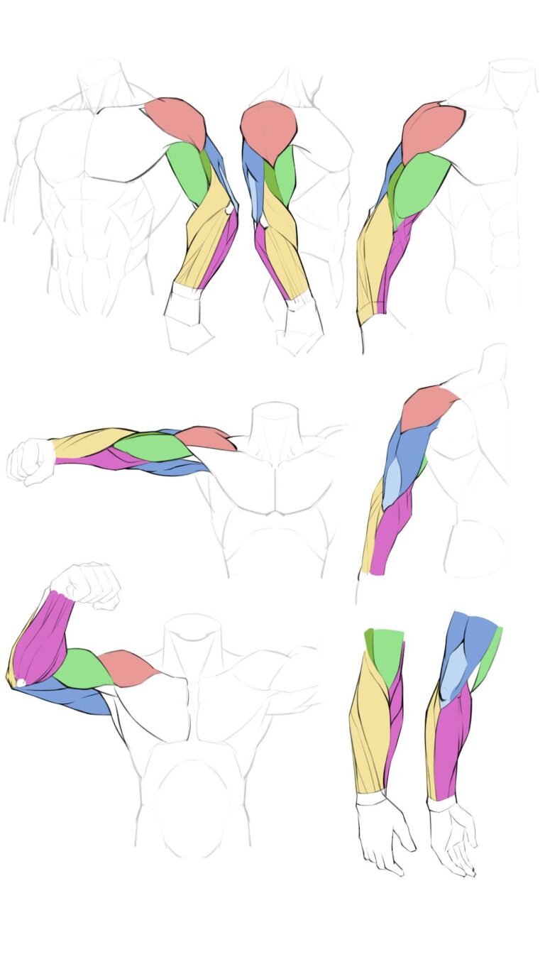 How to Draw a Body Like a Pro – BUJO ART