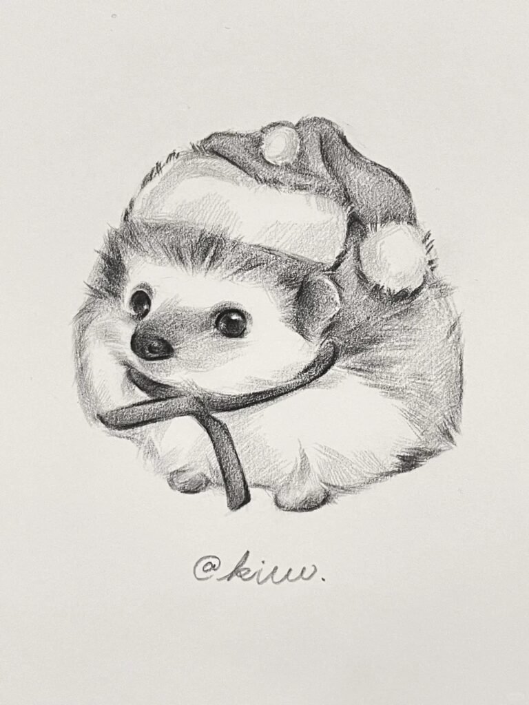 Drawing Ideas with Pencil for Every Skill Level – BUJO ART