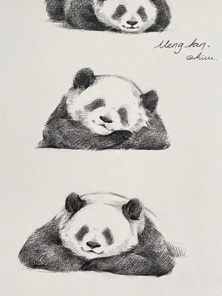 Drawing Ideas with Pencil for Every Skill Level – BUJO ART